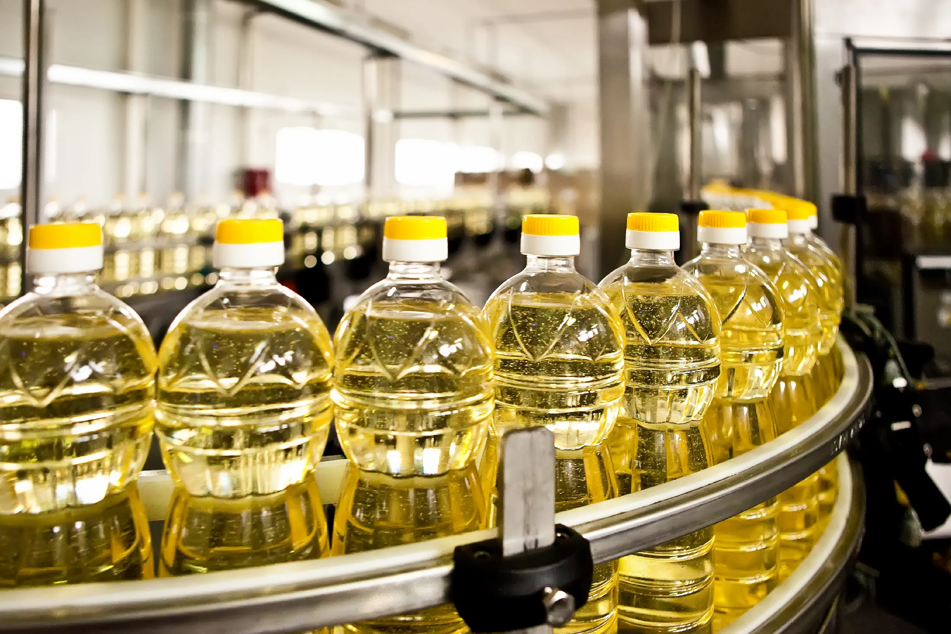 Choosing the Best Healthy Oil Manufacturer – Your Guide to Quality and ...