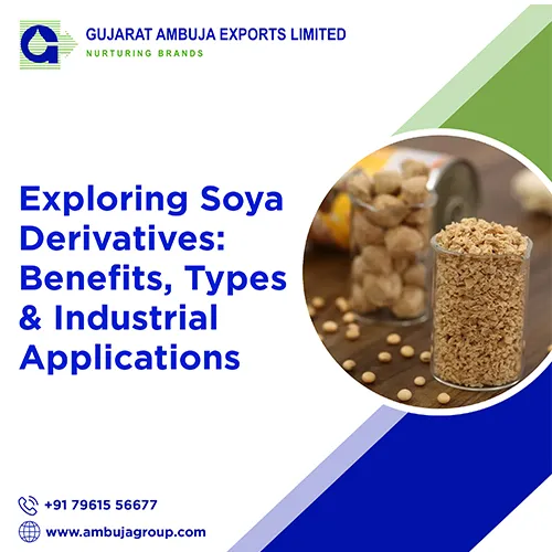 Exploring Soya Derivatives: Benefits, Types & Industrial Applications