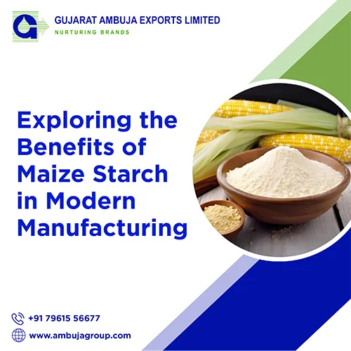 Exploring the Benefits of Maize Starch in Modern Manufacturing