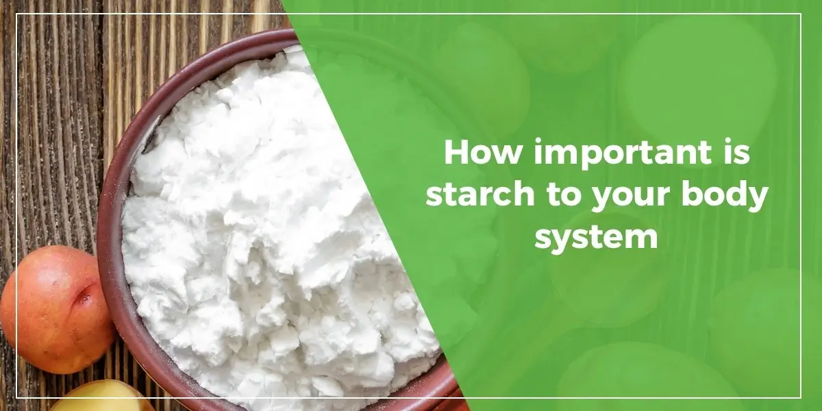 5 Reasons Why Starch Is an Essential Need For Your Body Nowadays - GAEL