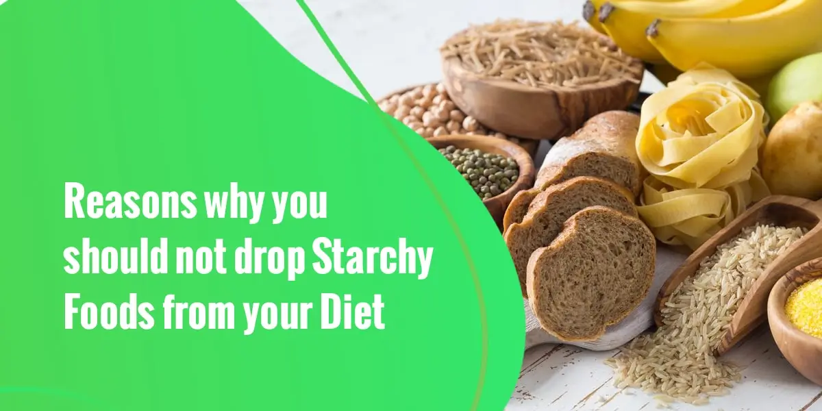 5 Reasons Why Starch Is an Essential Need For Your Body Nowadays - GAEL