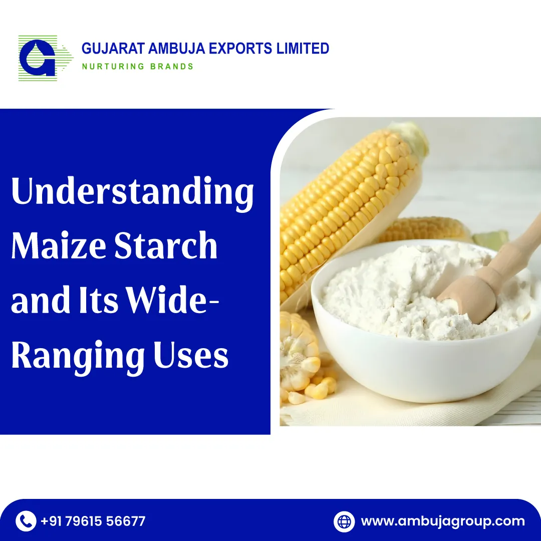 Premium Maize Starch Manufacturer India