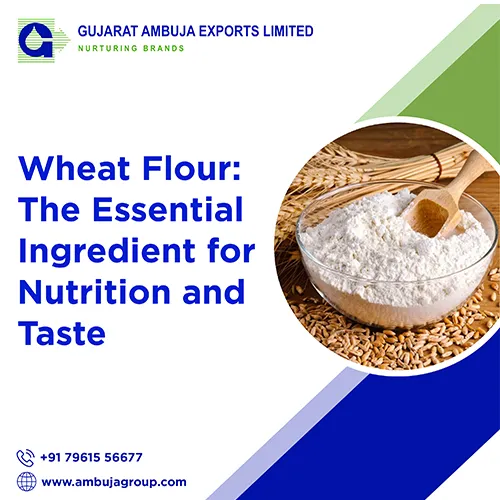 Wheat Flour: The Essential Ingredient for Nutrition and Taste