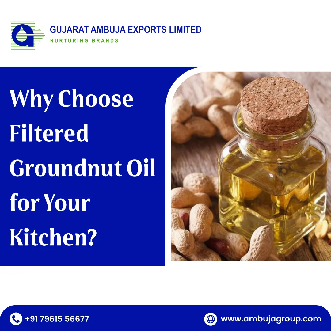 Best Filtered Groundnut Oil Manufacturer India