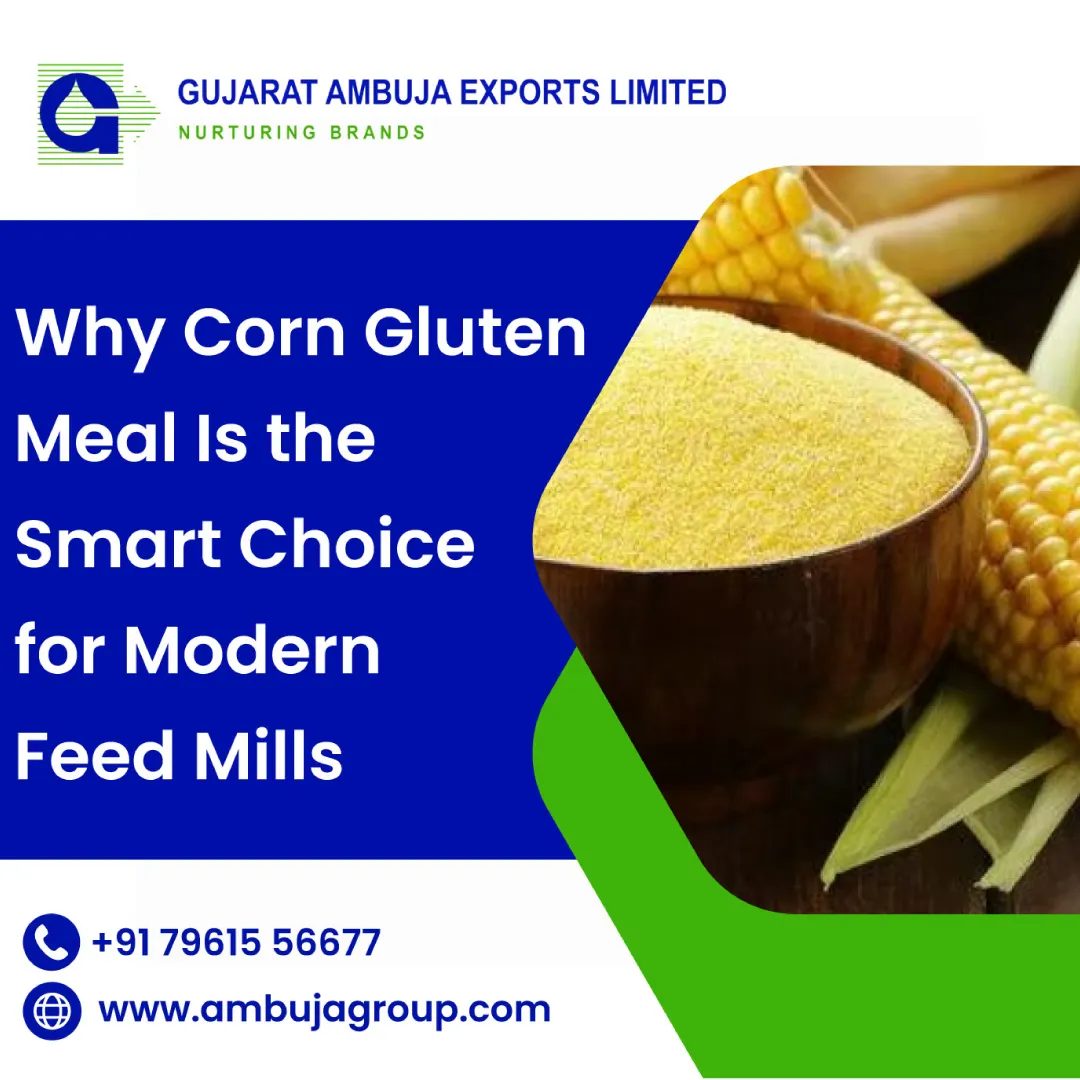 Leading Corn Gluten Meal Manufacturer in India - Gujarat Ambuja Exports