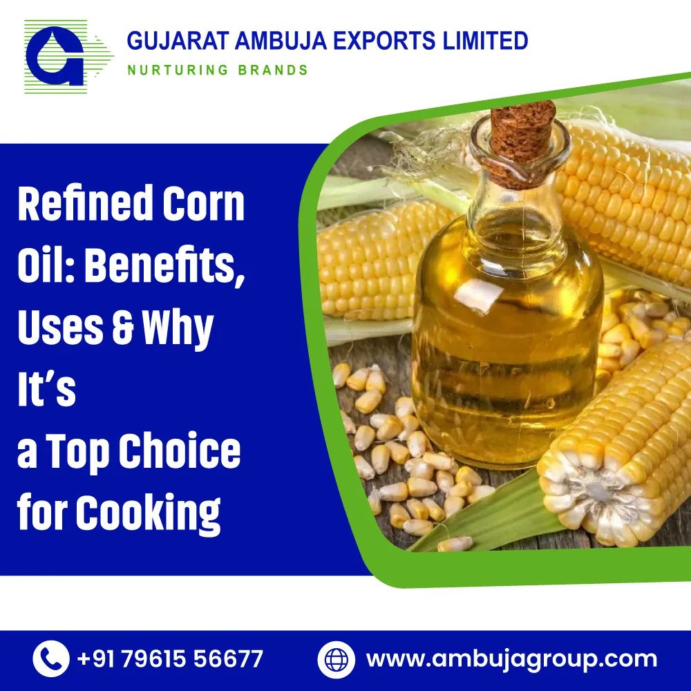 Why Refined Corn Oil Is the Best Choice