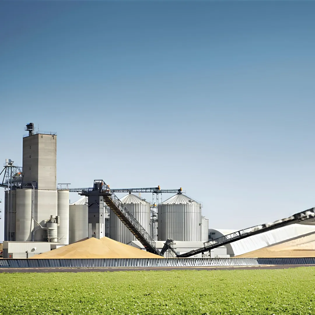 Our Business - Maize Processing in India | Agro Processing Solution